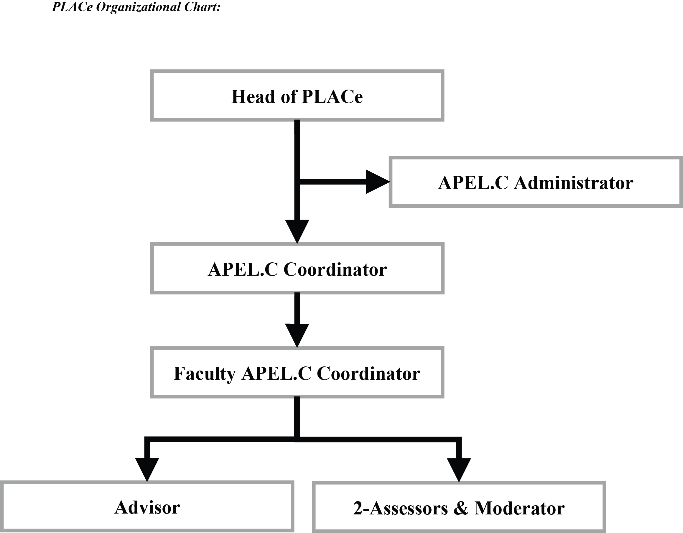 Place Organization Chart